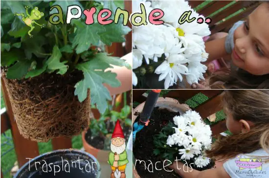 Trasplantar una planta -Manualidades Infantiles